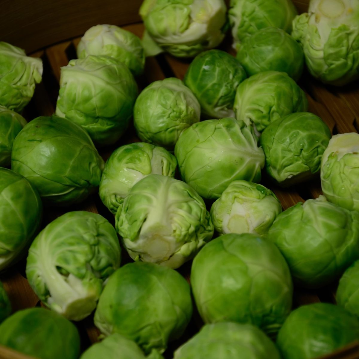 Légume de saison : la bette (ou blette) - Not parisienne