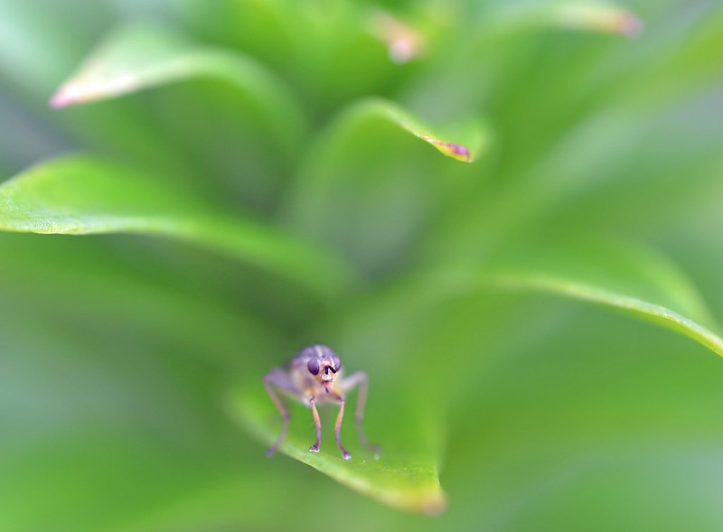 Ma to-do list de printemps - Not parisienne